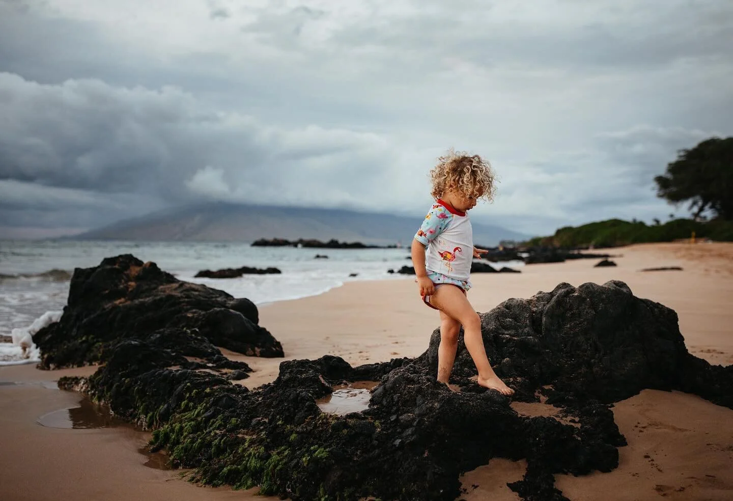 Alaska Elopement: Madalina + Dorian — Blueberry Hill Photography