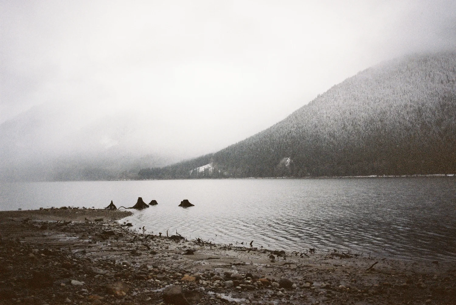Chasing Quiet — FURRY LITTLE PEACH