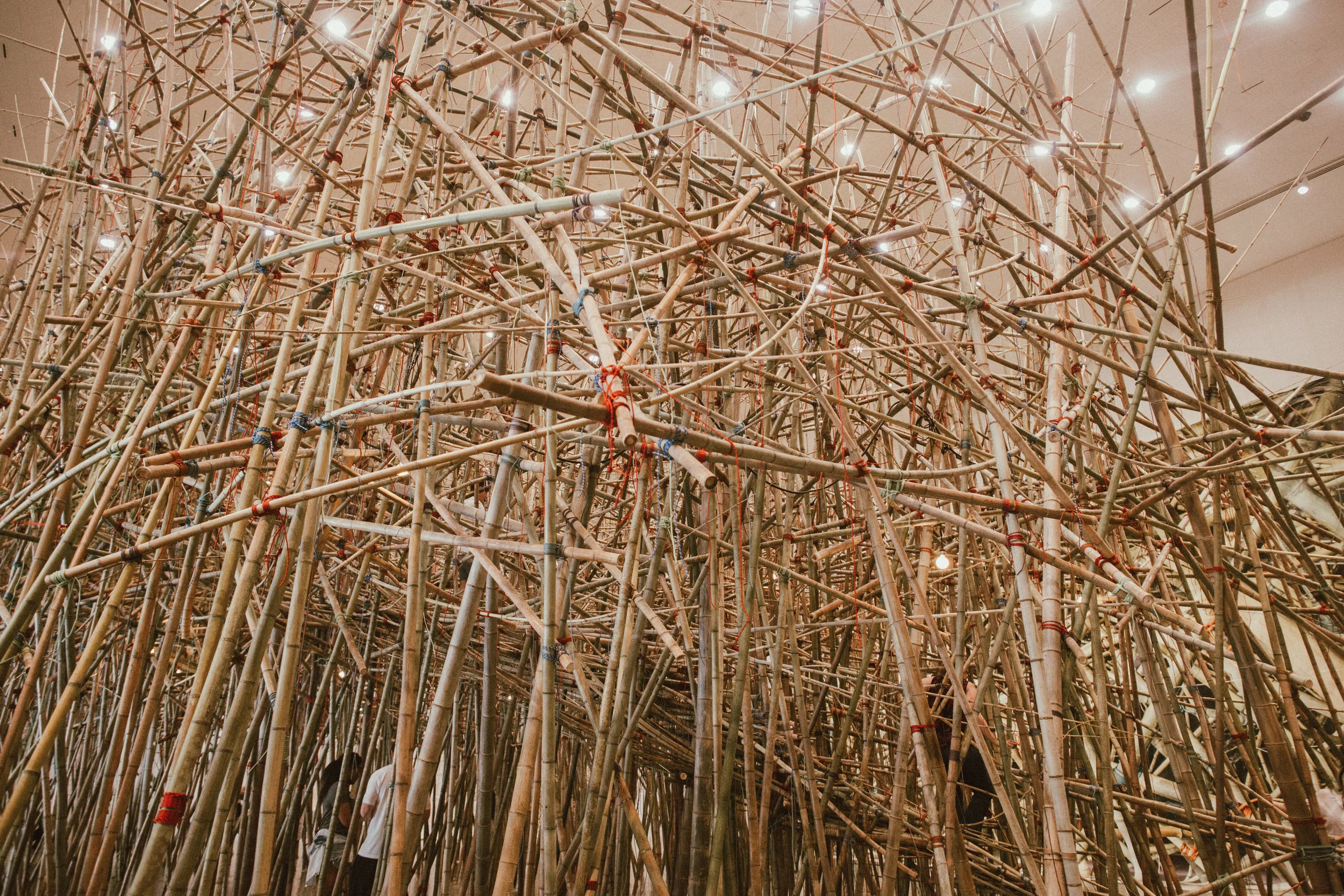 BIG BAMBU + A VIDEO — CASA ALMANZA