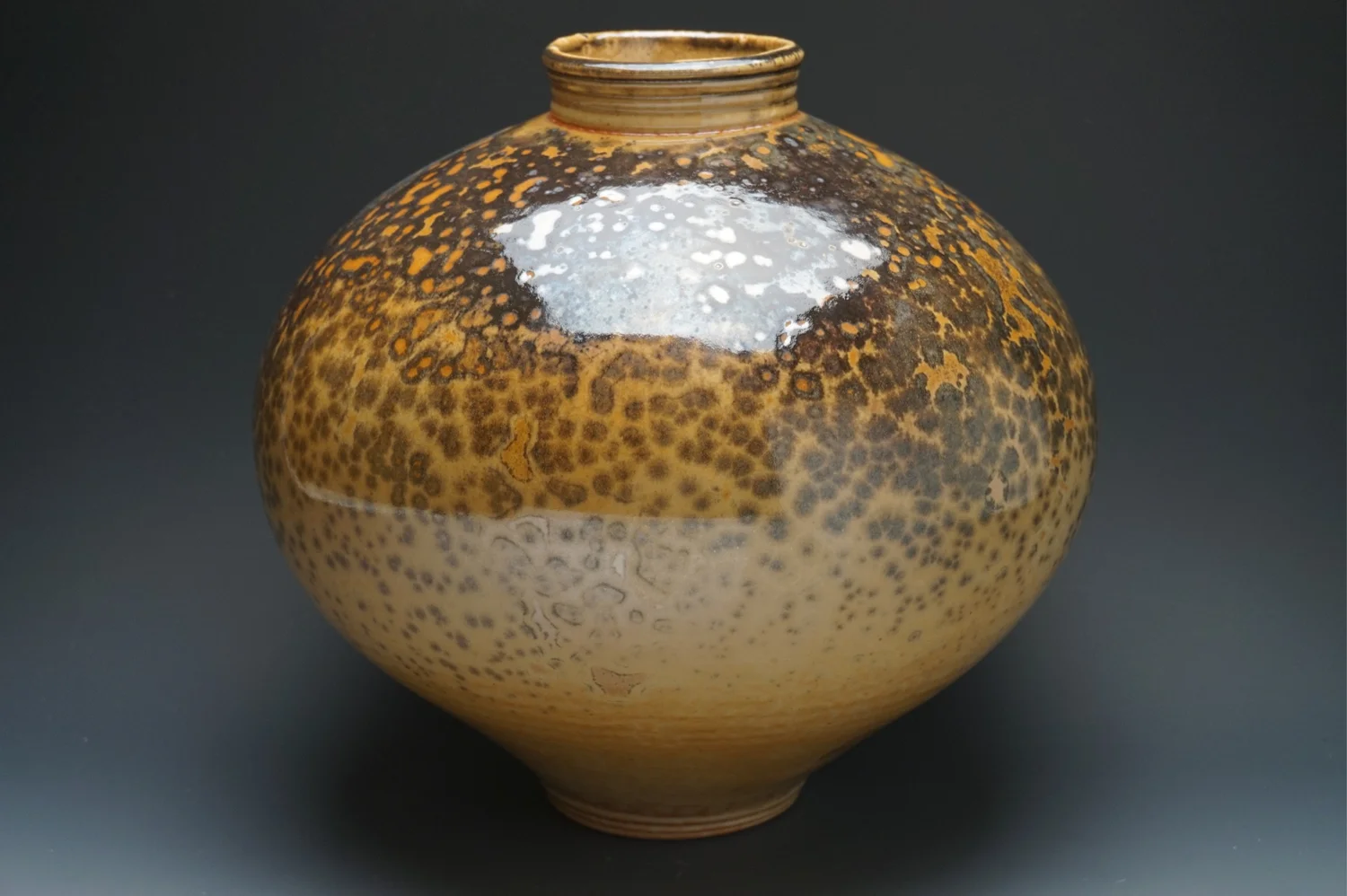 Tom Coleman — Sherrie Gallerie