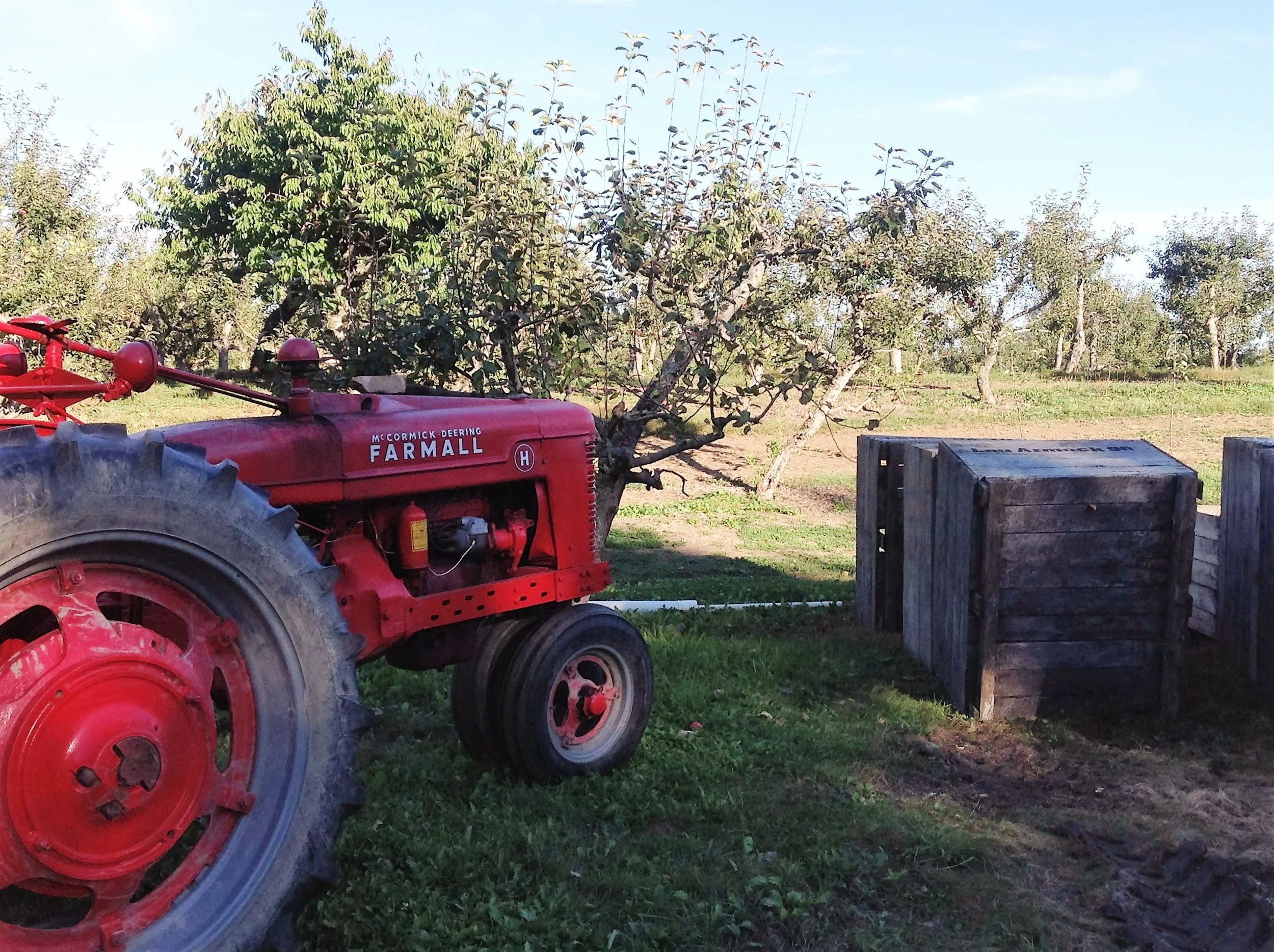Photos — Obstbaum Orchard