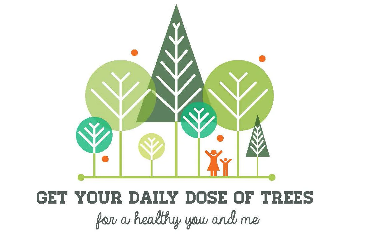 MP+G Marketing Solutions