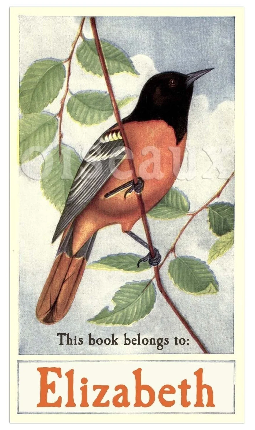 Personalized Vintage Bird + Butterfly Bookplates — Oiseaux Vintage Paperie