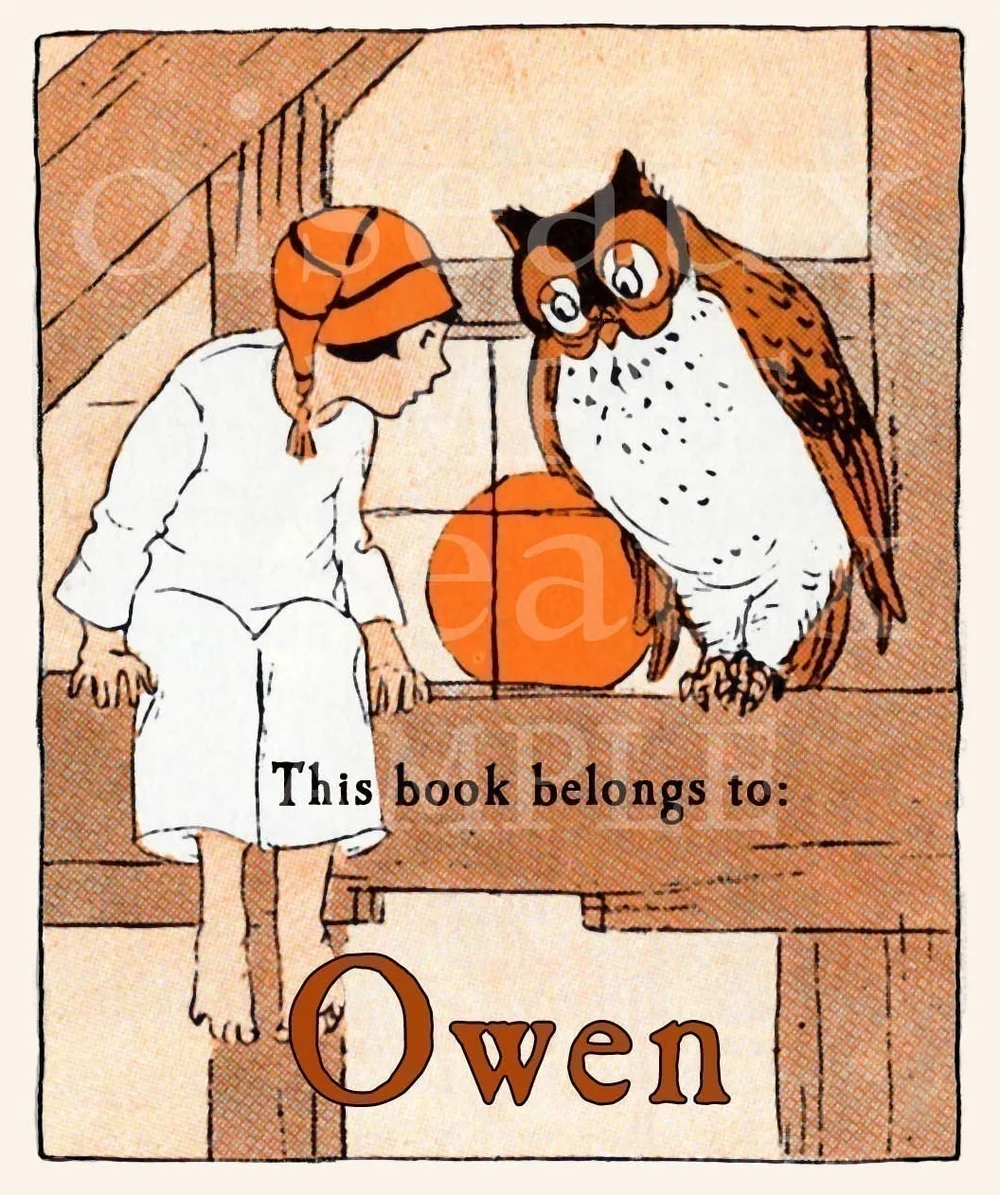 Book Of The Night Owl