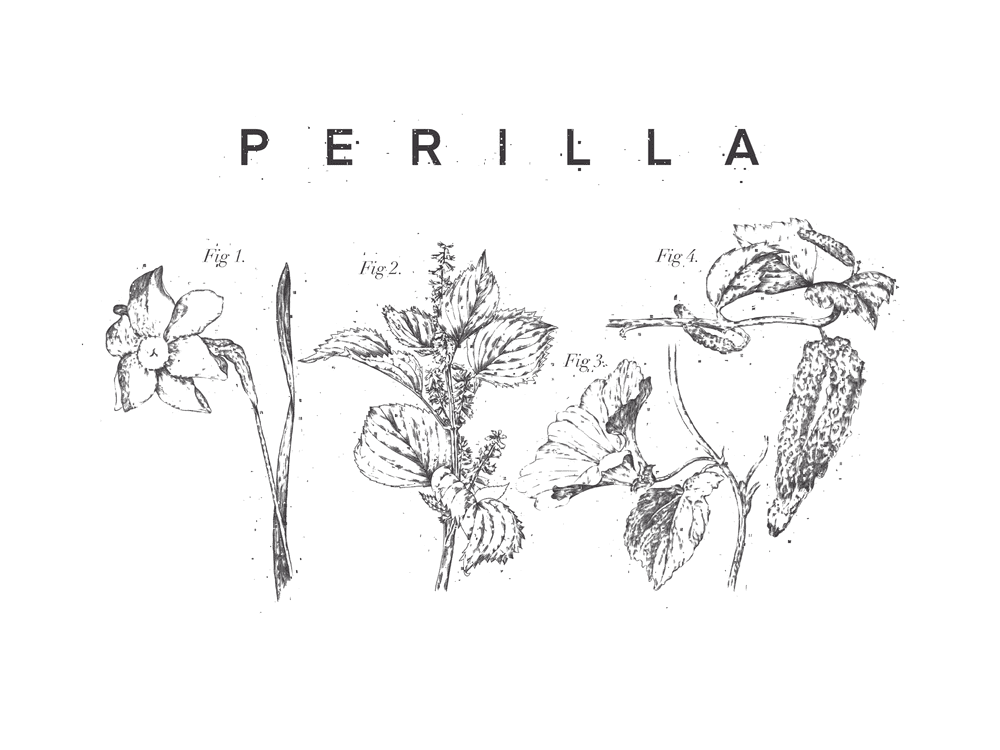 MENUS — Perilla Dining