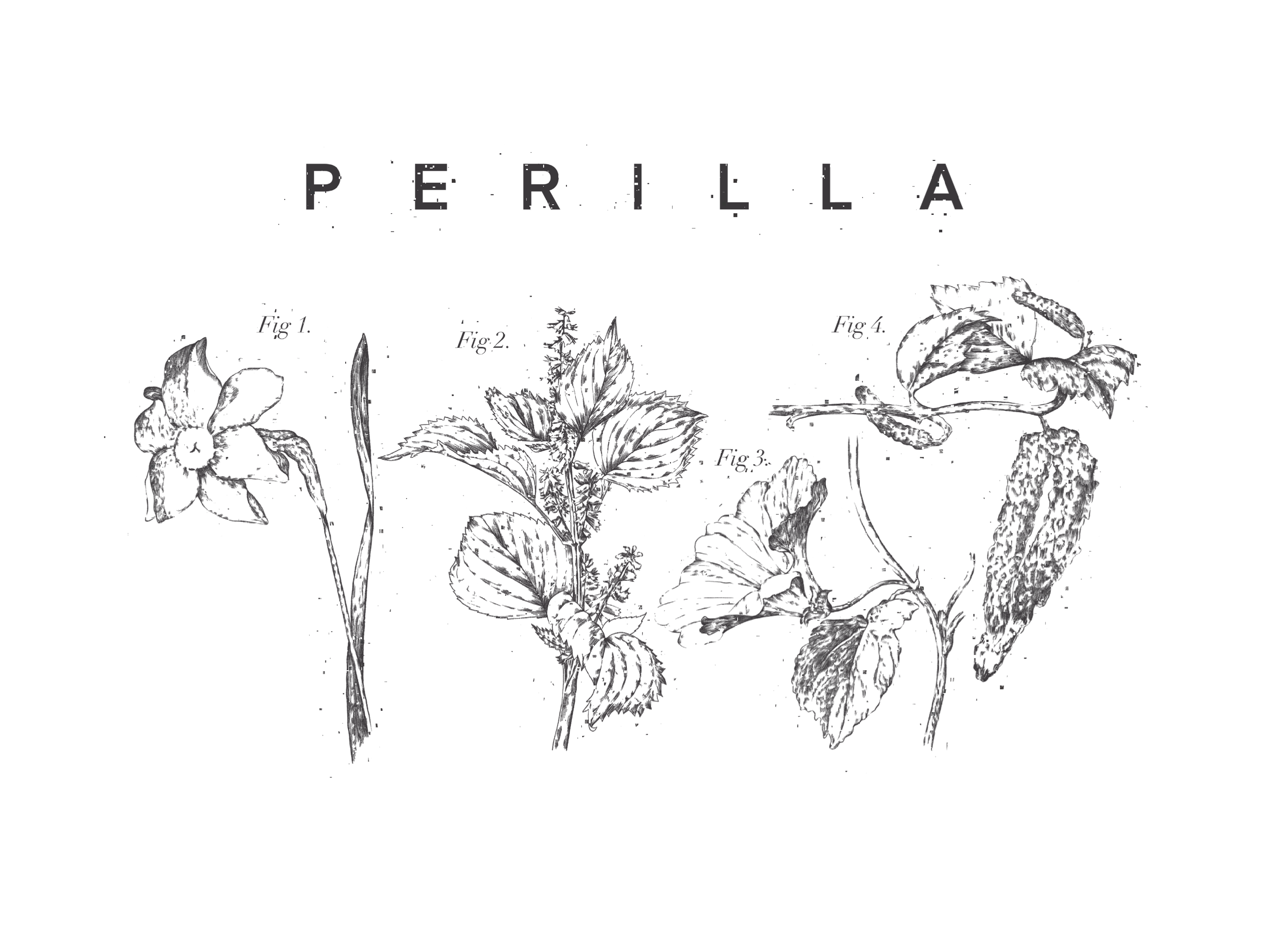 MENUS — Perilla Dining