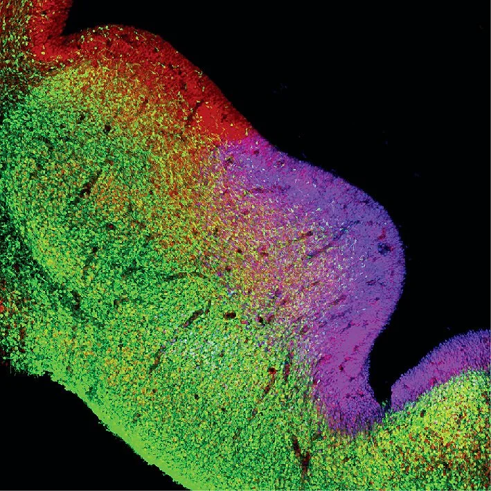 Robert Hunt Laboratory