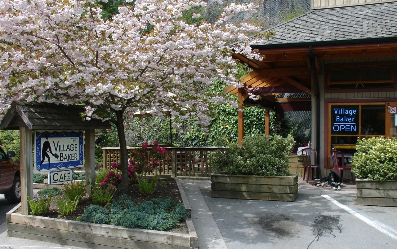 Location — The Village Baker Cafe'