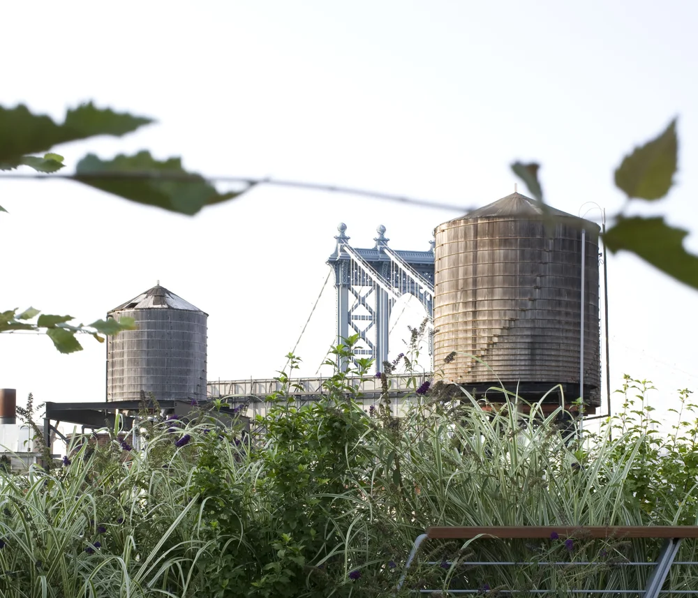 Unfolding Terrace — terrain nyc