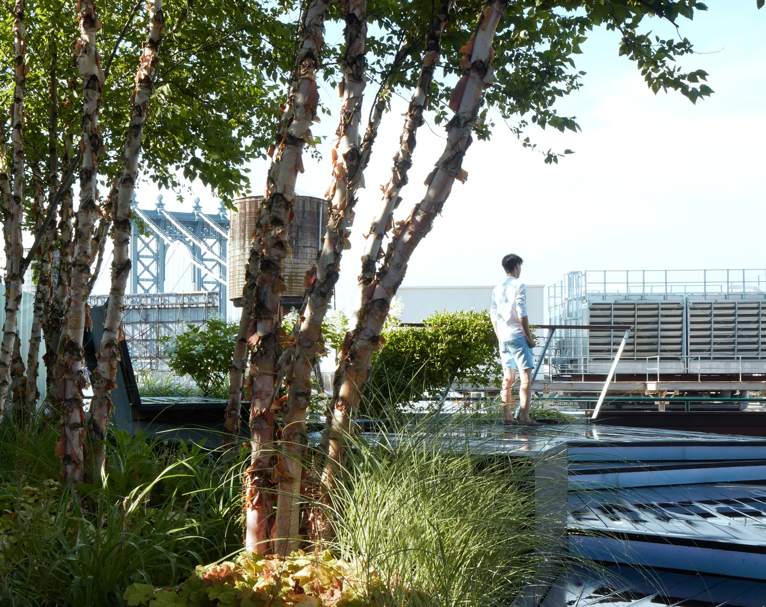 Unfolding Terrace — terrain nyc