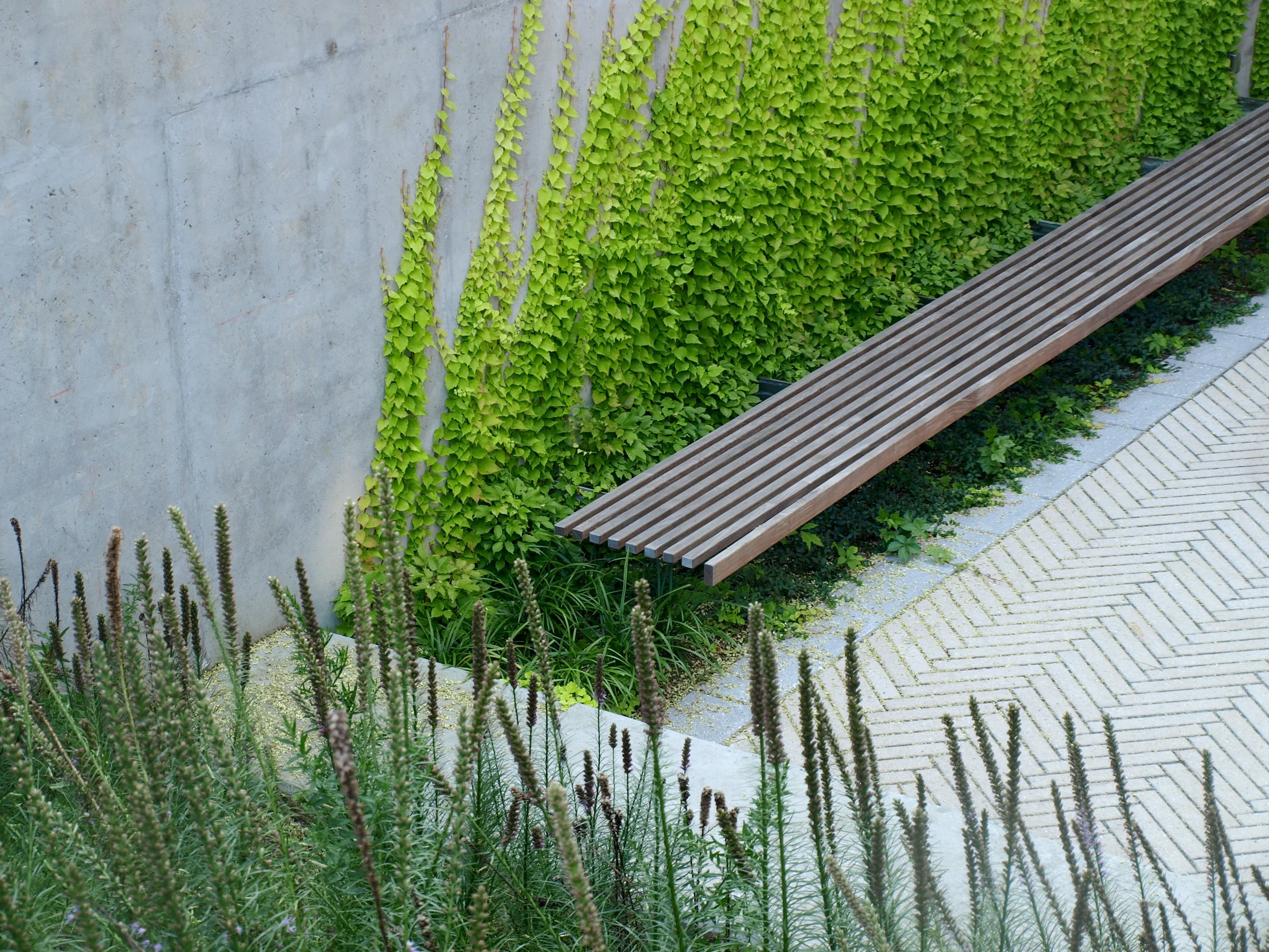 Lynn's Place Supportive Housing — terrain nyc