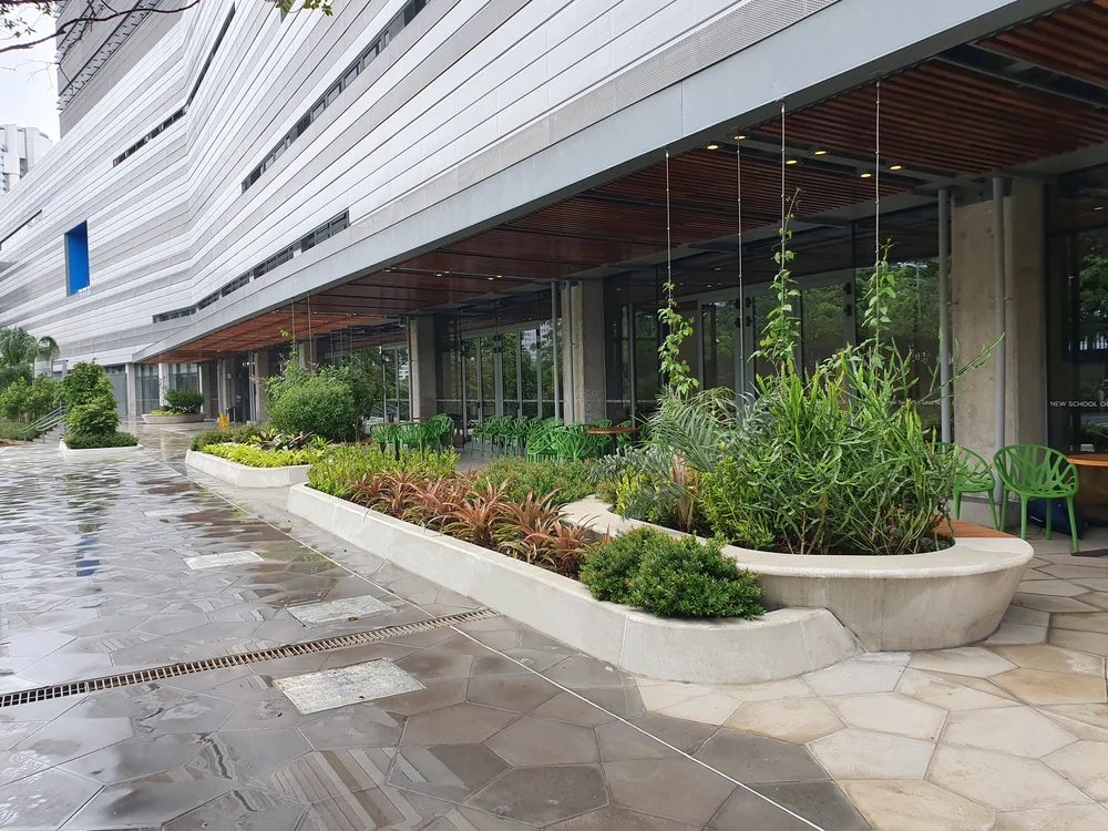 Avenues International School - Sao Paulo Campus — terrain nyc