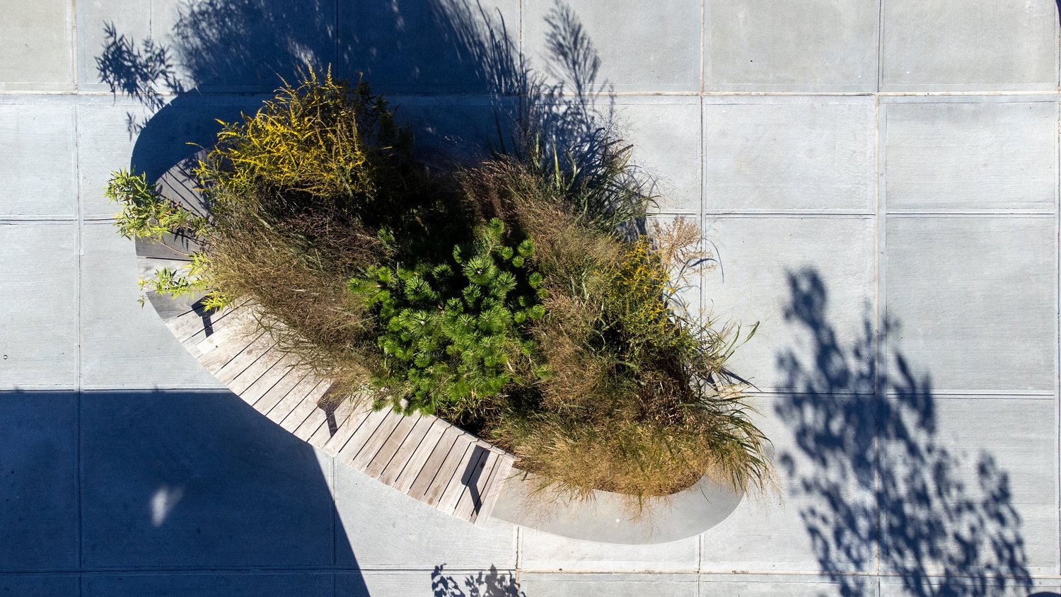 Peninsula Hospital Redevelopment — terrain nyc