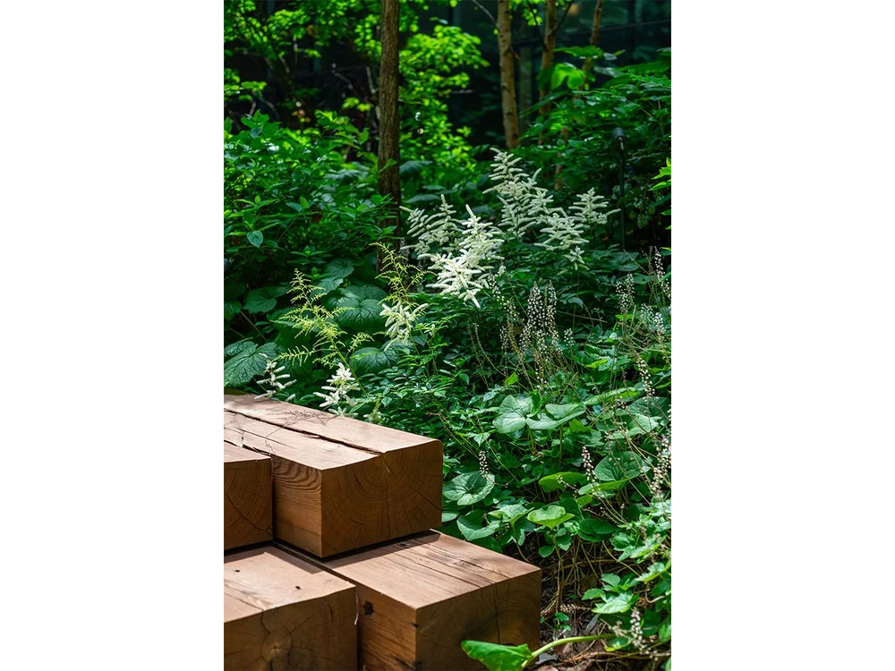 News — terrain nyc