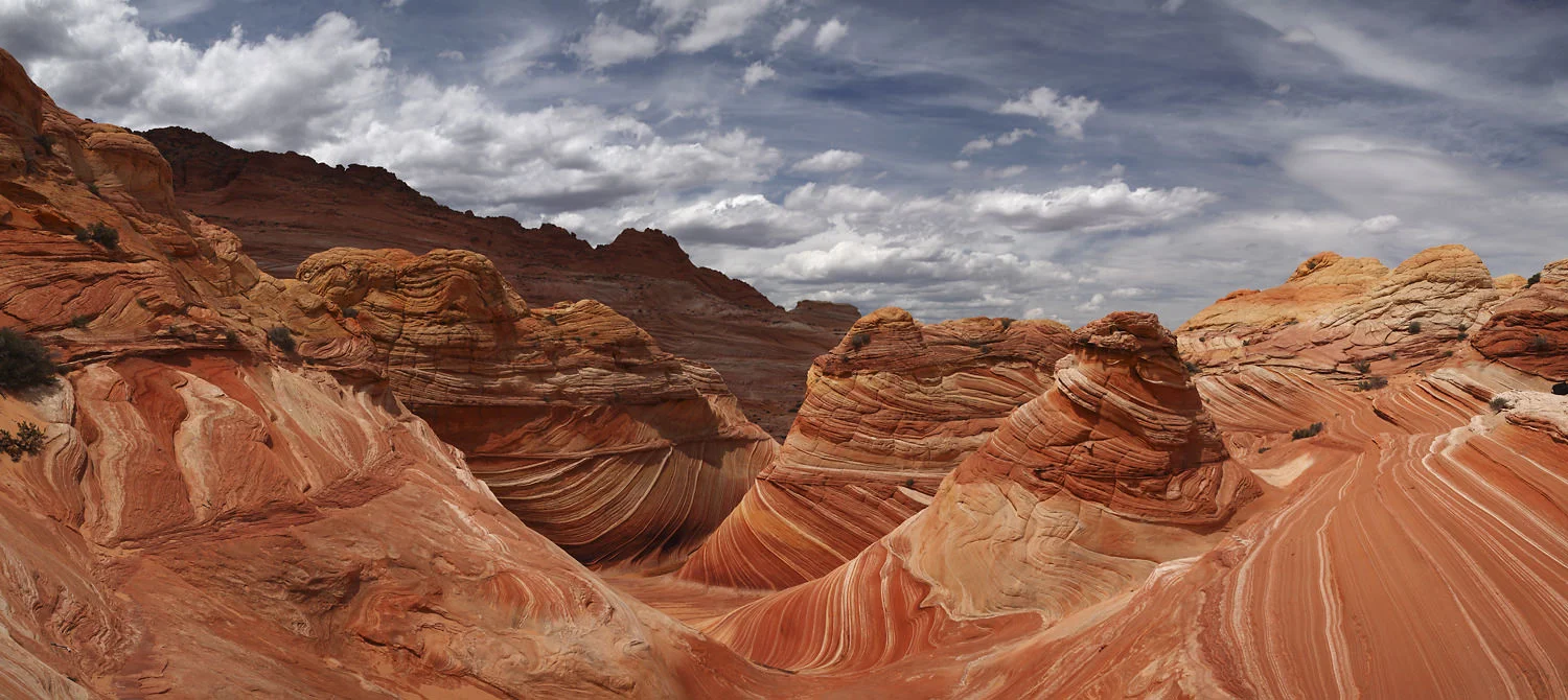 Artist Statement — Scott Mansfield