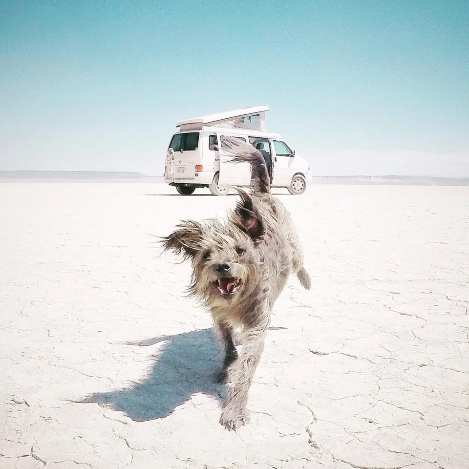 Alison & Max in a VW Camper — Tiny House, Tiny Footprint