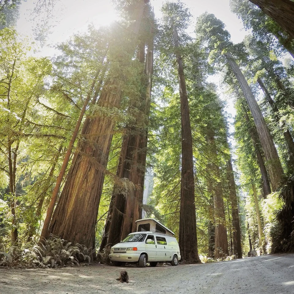 Alison & Max in a VW Camper — Tiny House, Tiny Footprint