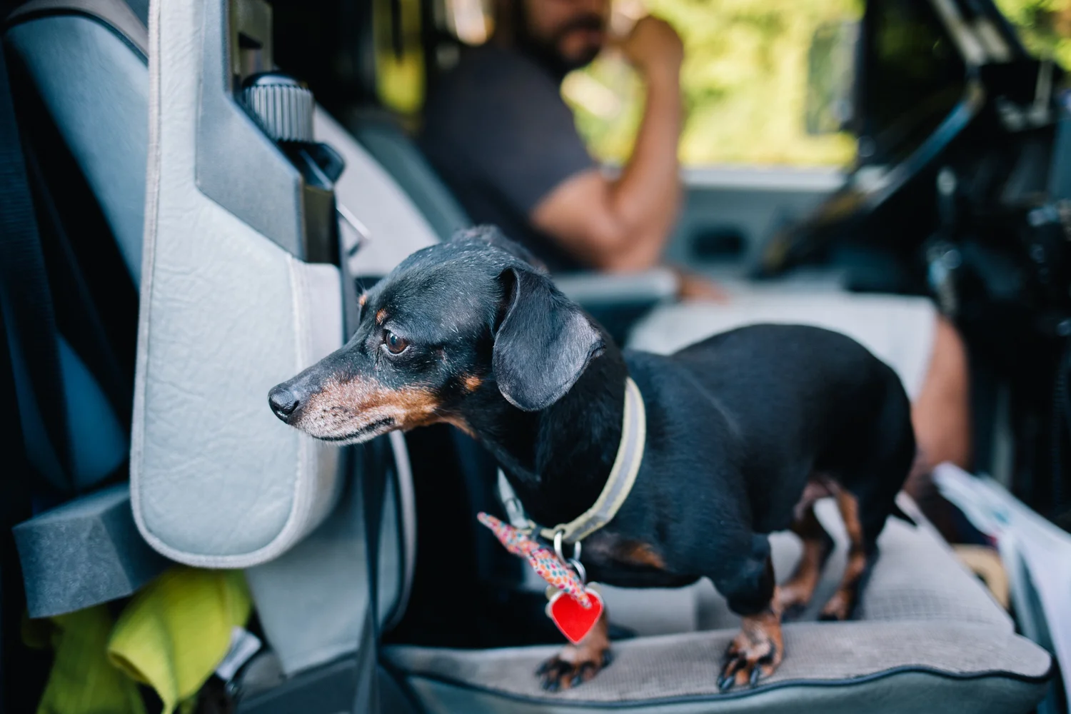 Jess & Jorge in a VW Van — Tiny House, Tiny Footprint