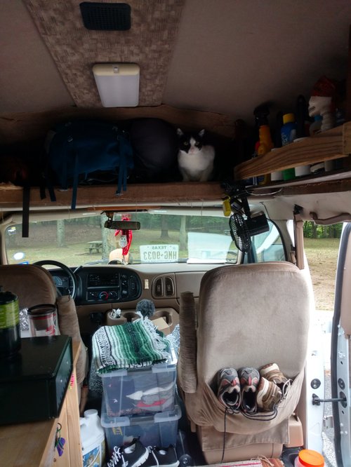 Guest Post: Guide to Vanlife with Cats — Tiny House, Tiny Footprint