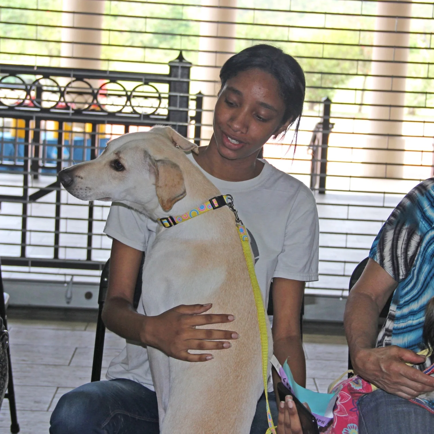 Spayathon Round 4 — The Sato Project