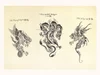 Tattoo Pioneers: Pinky Yun — BLACK WIDOW TATTOO