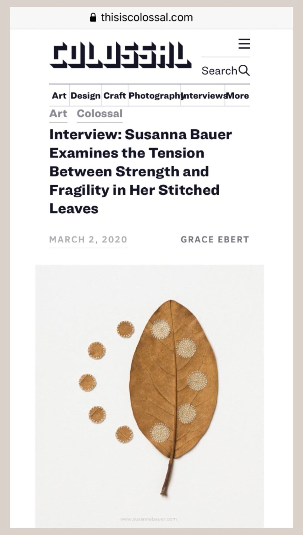 press/media — Susanna Bauer