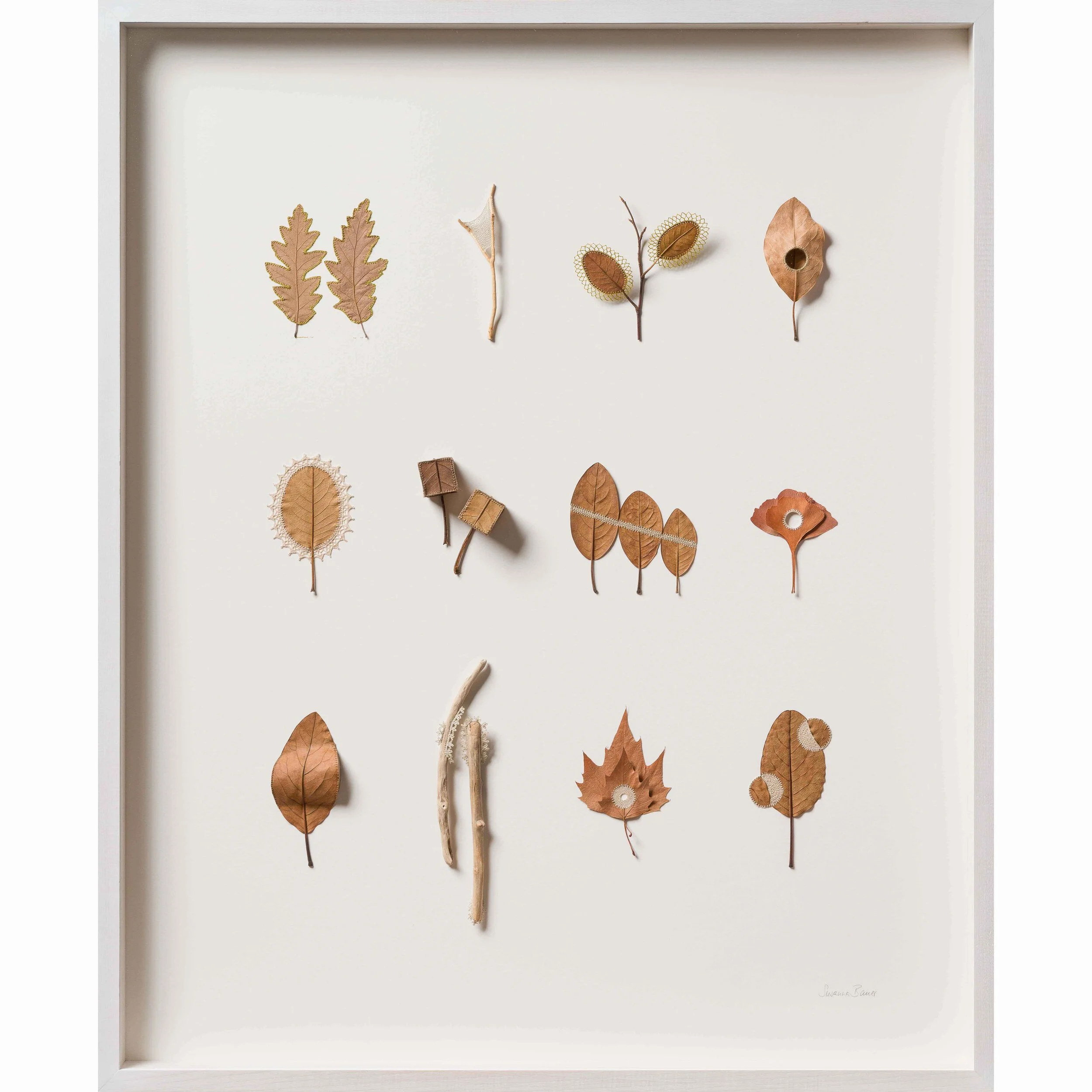 work — Susanna Bauer