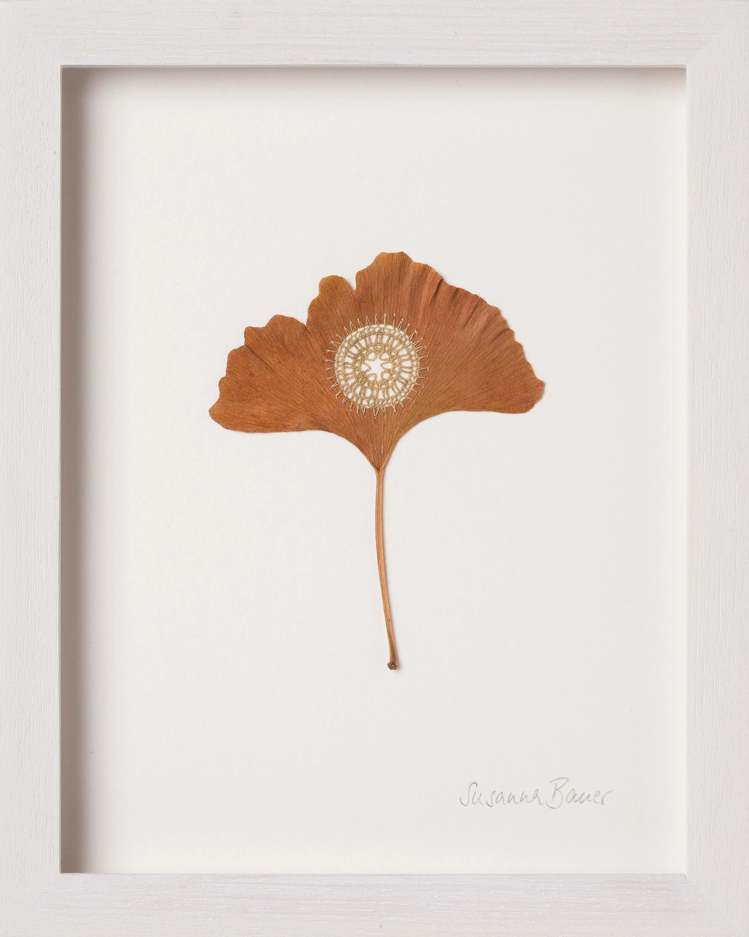 Ginkgo Circle lll — Susanna Bauer