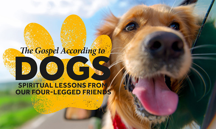 MESSAGES — Asbury Church