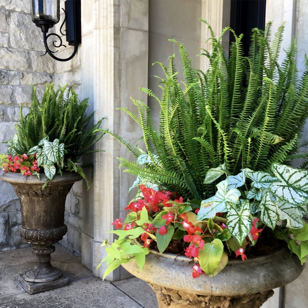 How to Create the Perfect Spring Container Garden (+ Our Favorite ...