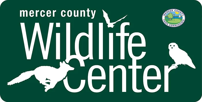 About MCWC — Wildlife Center Friends
