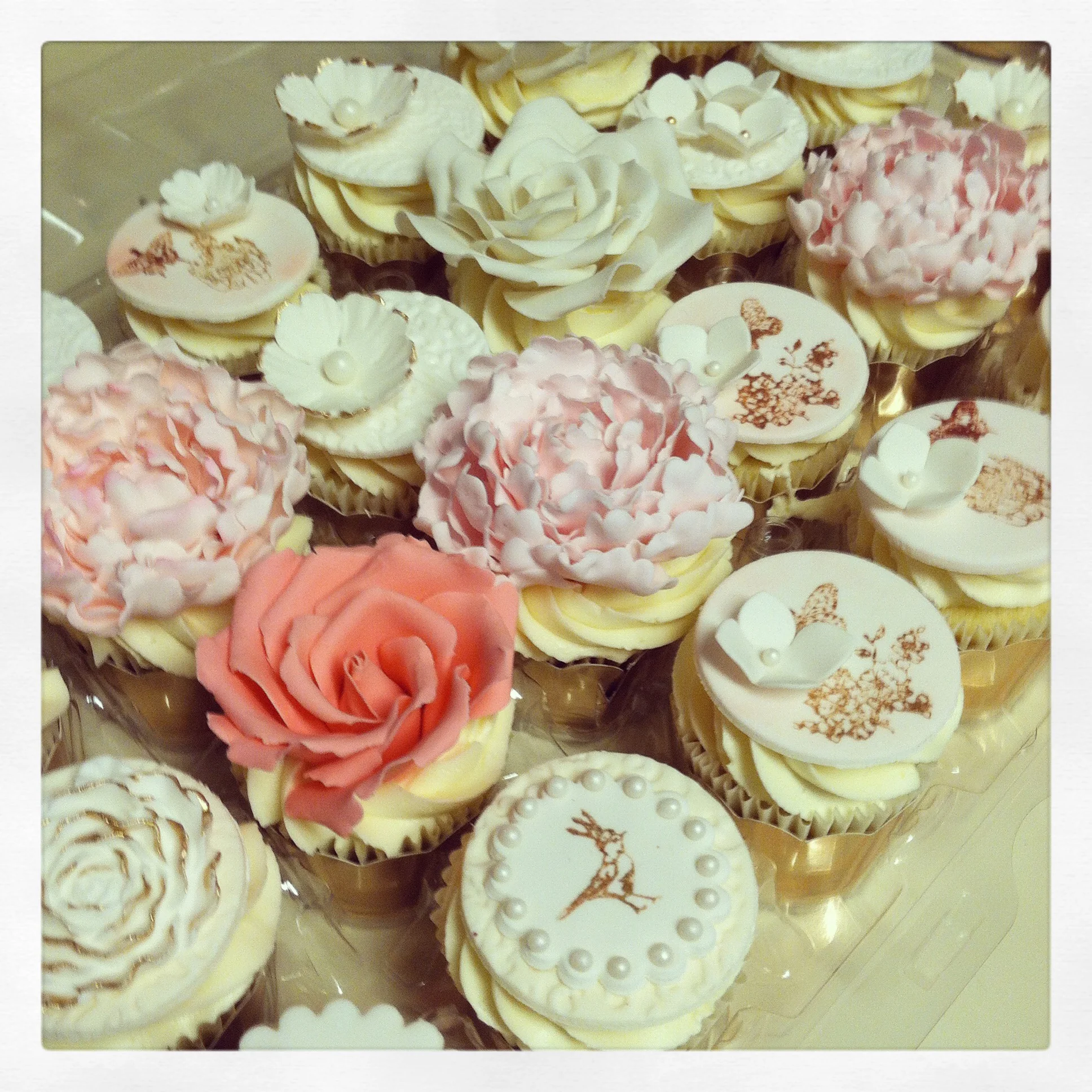 Cupcakes and Cupcake Toppers — Sweet Little Morsels, LLC