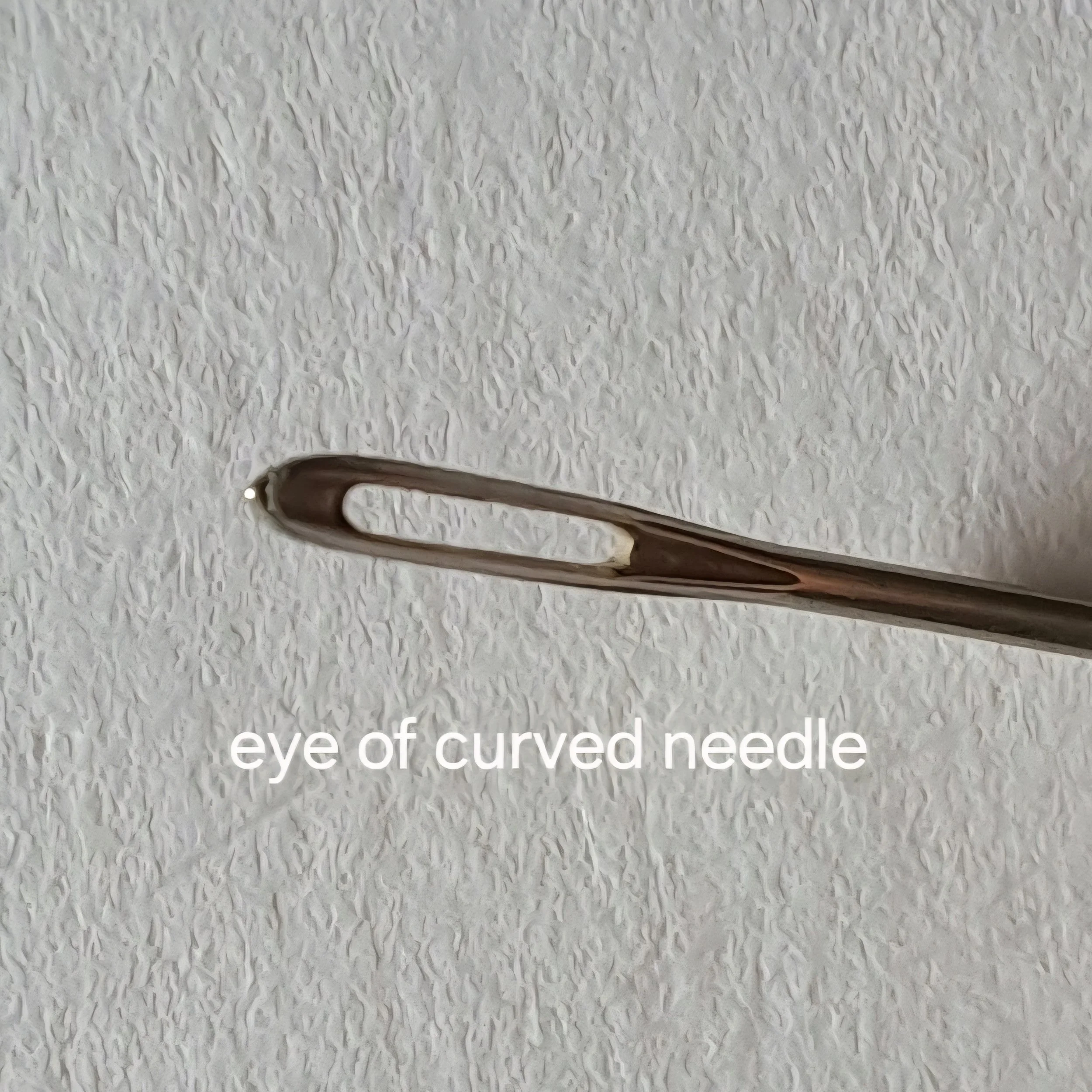 Bookbinding Needles & Needles | The Binding Studio NZ — The Binding ...