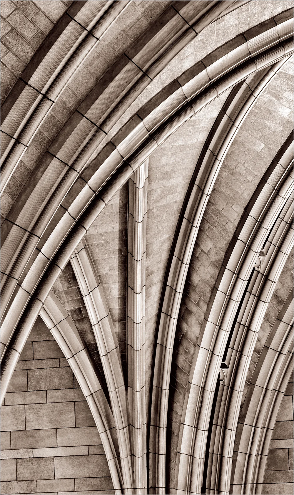 More Ceiling! — Howard Grill Photography