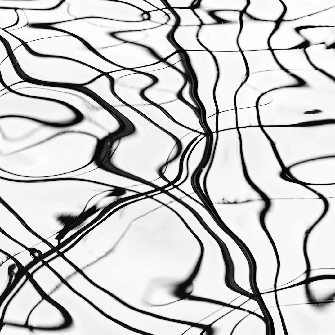 Howard Grill Photography