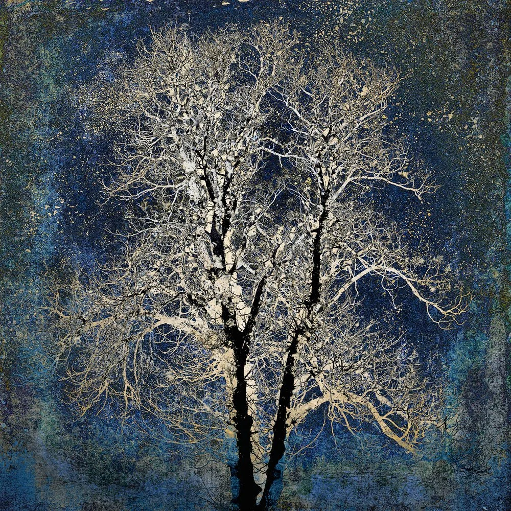 Portfolios — Howard Grill Photography