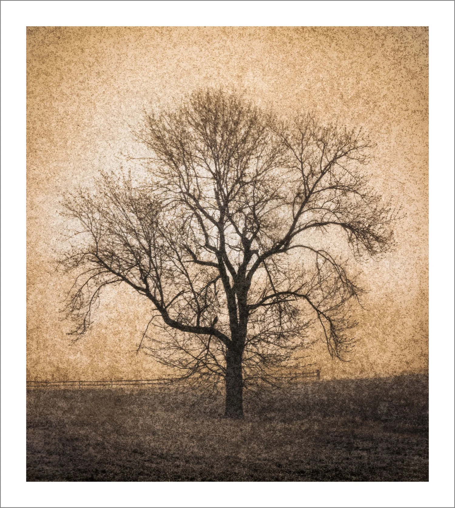 More Physical Textures — Howard Grill Abstract Art