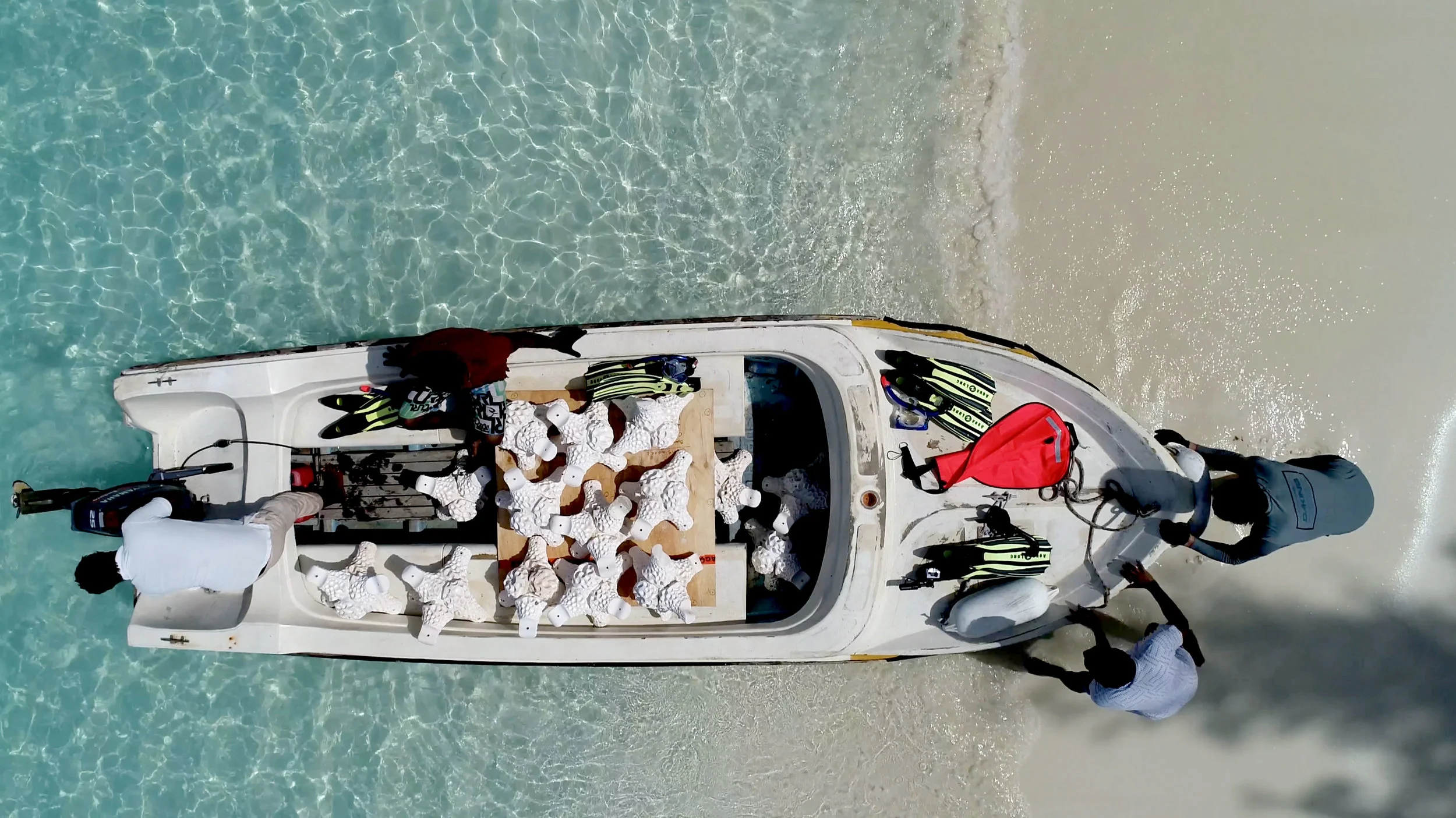 Modular Artificial Reef Structure (MARS) | REEF DESIGN LAB