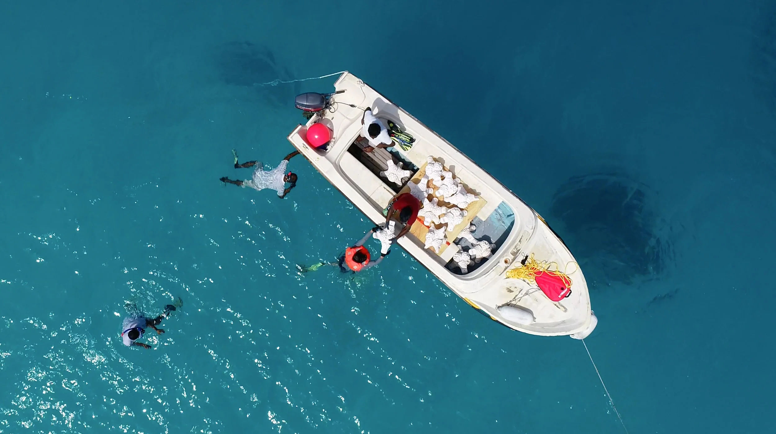 Modular Artificial Reef Structure (MARS) | REEF DESIGN LAB