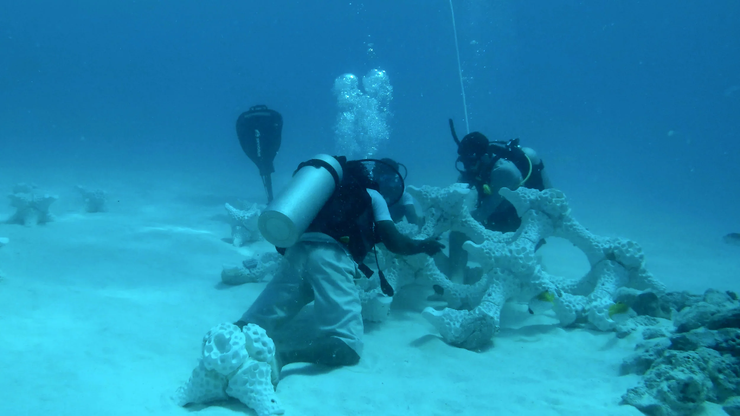 Modular Artificial Reef Structure (MARS) | REEF DESIGN LAB