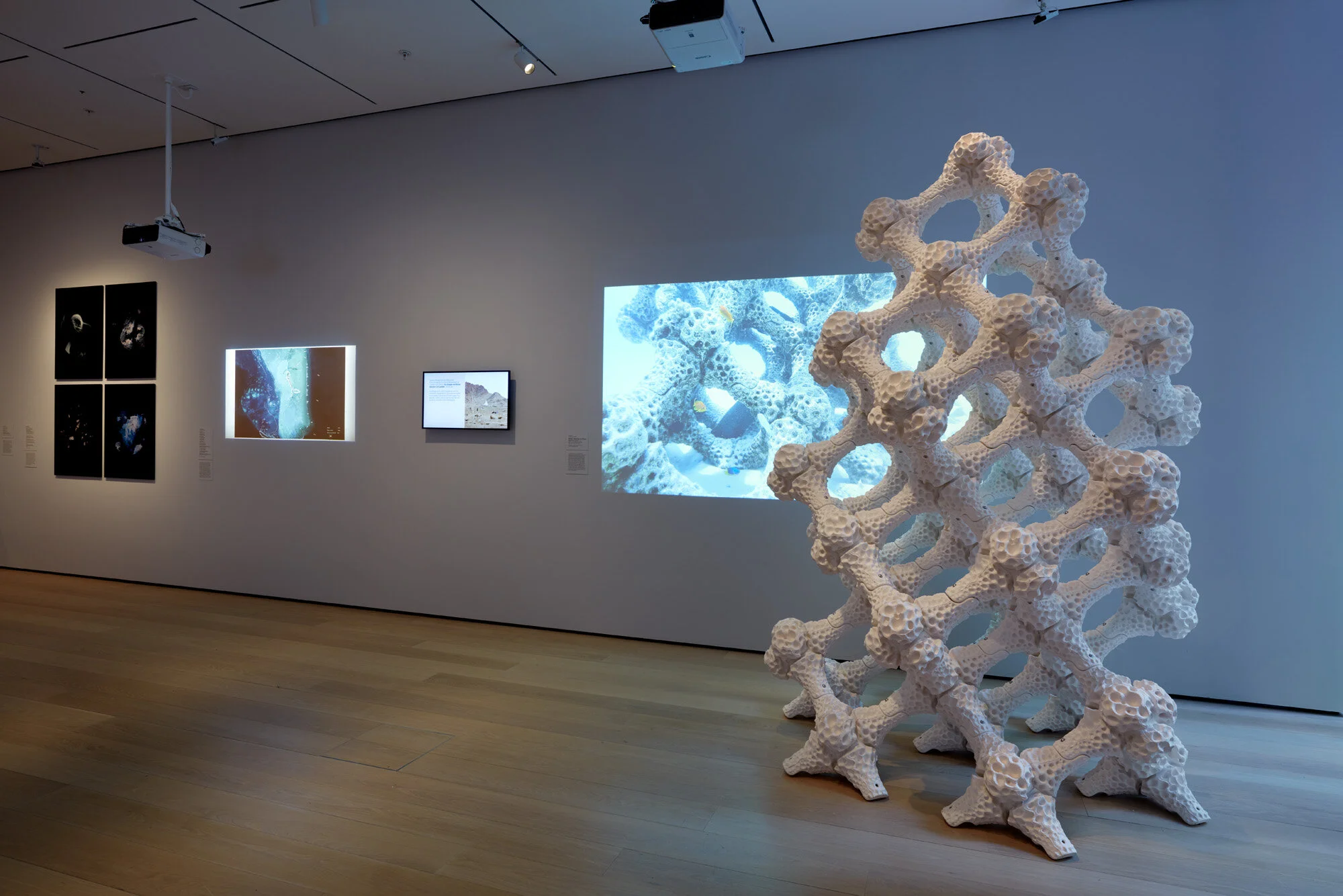 Exhibitions | REEF DESIGN LAB
