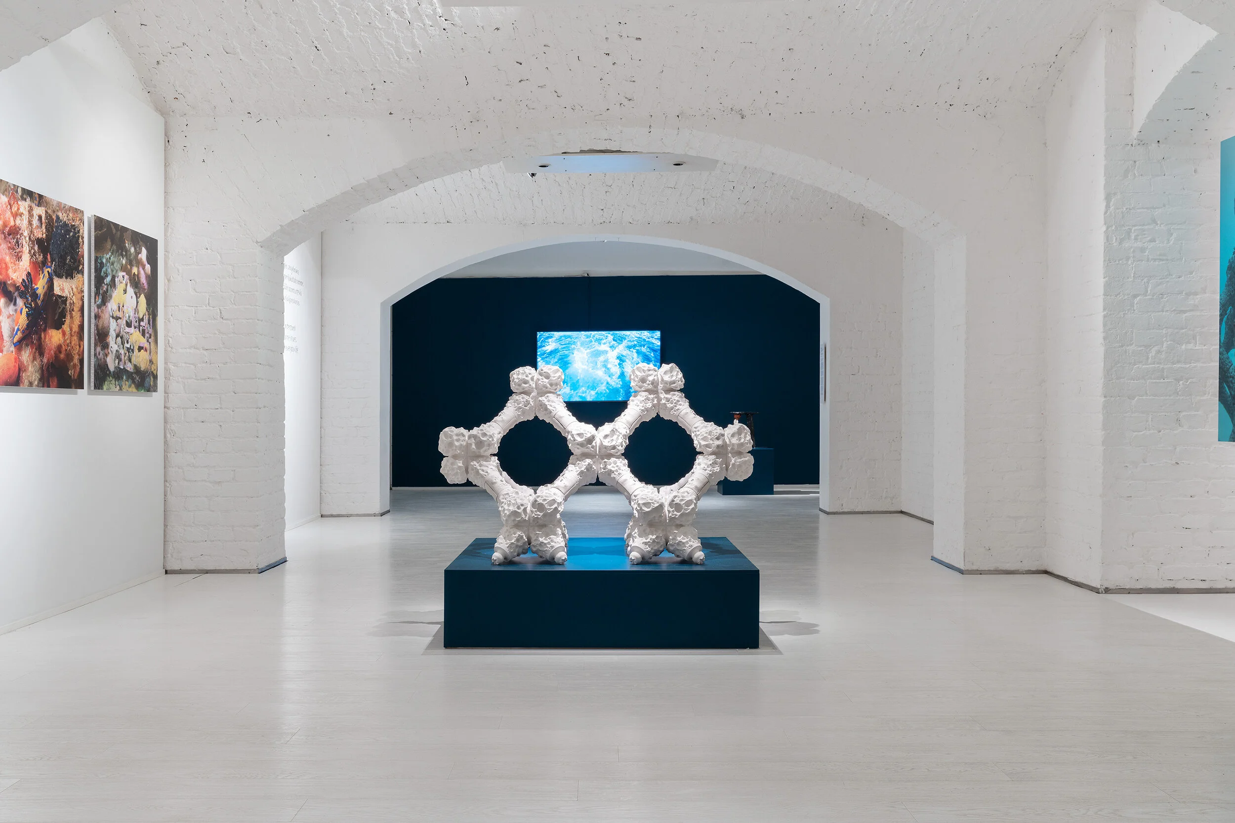 Exhibitions | REEF DESIGN LAB