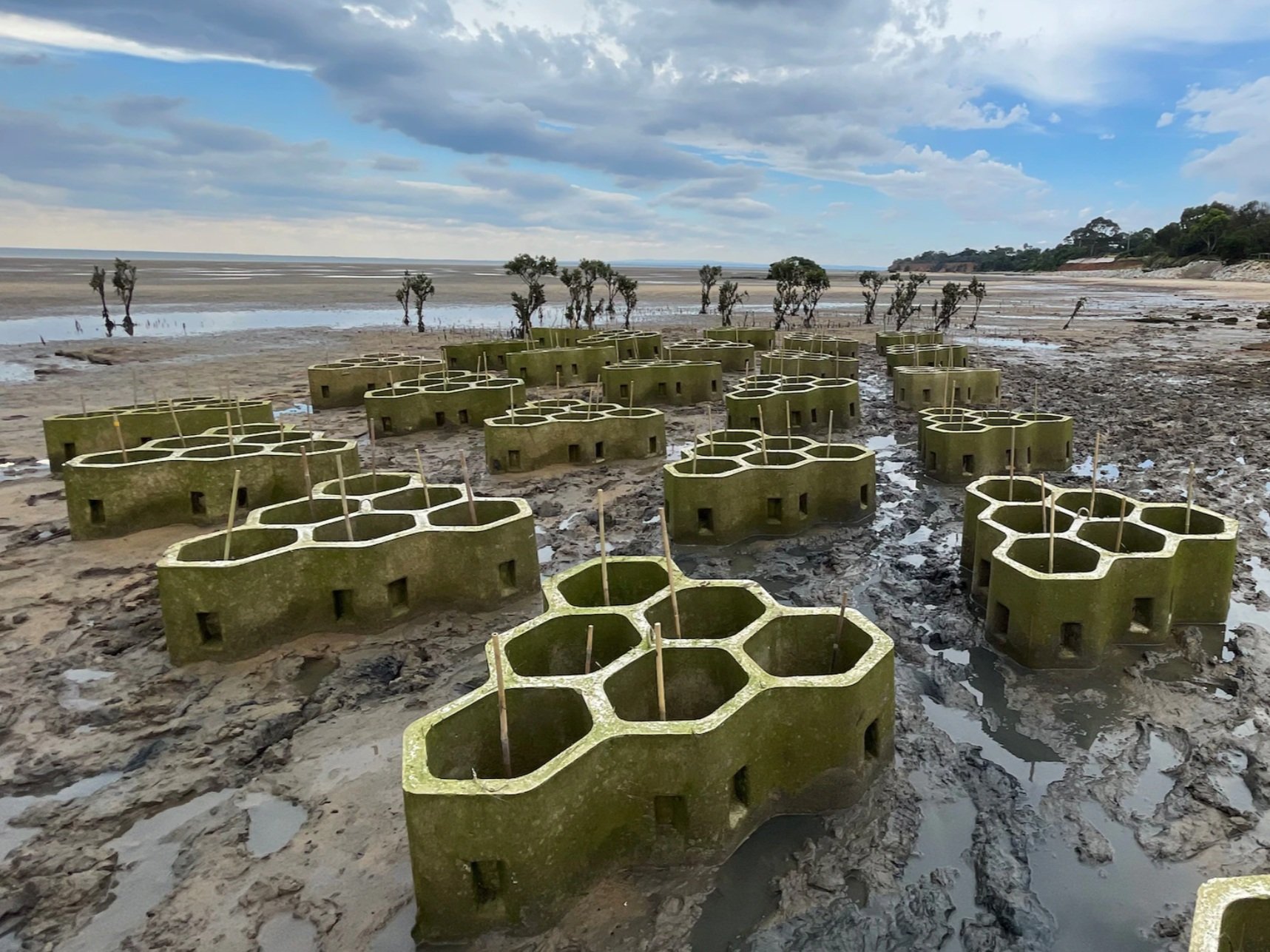 Mangrove Planters for Coastal Defence | REEF DESIGN LAB
