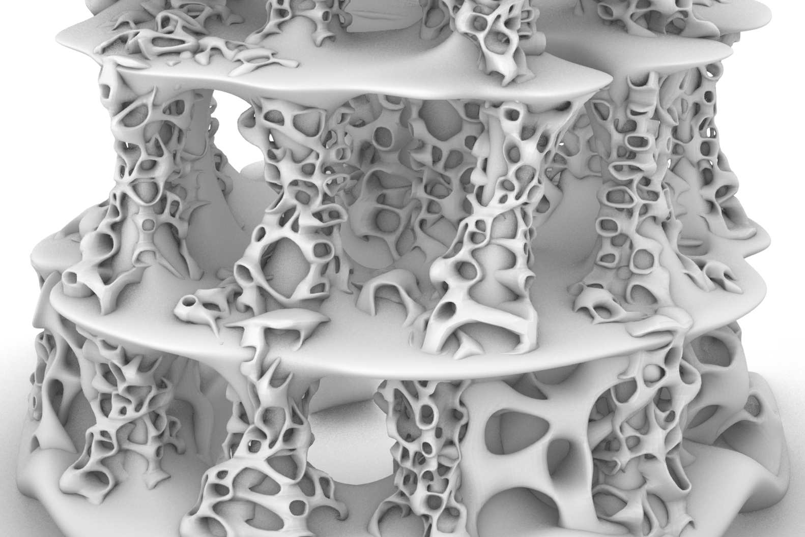 Exhibitions | REEF DESIGN LAB