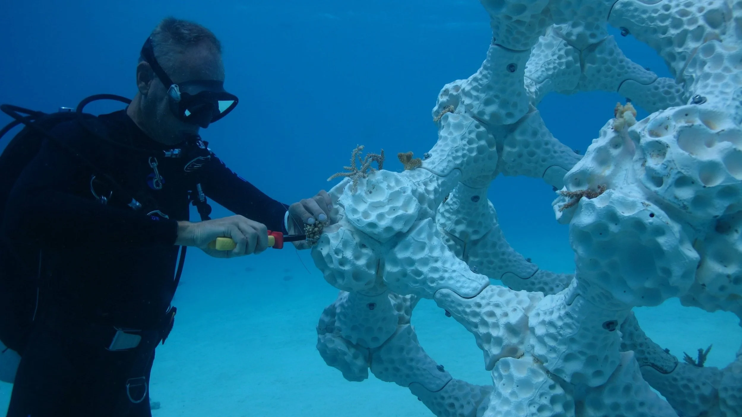 Modular Artificial Reef Structure (MARS) | REEF DESIGN LAB