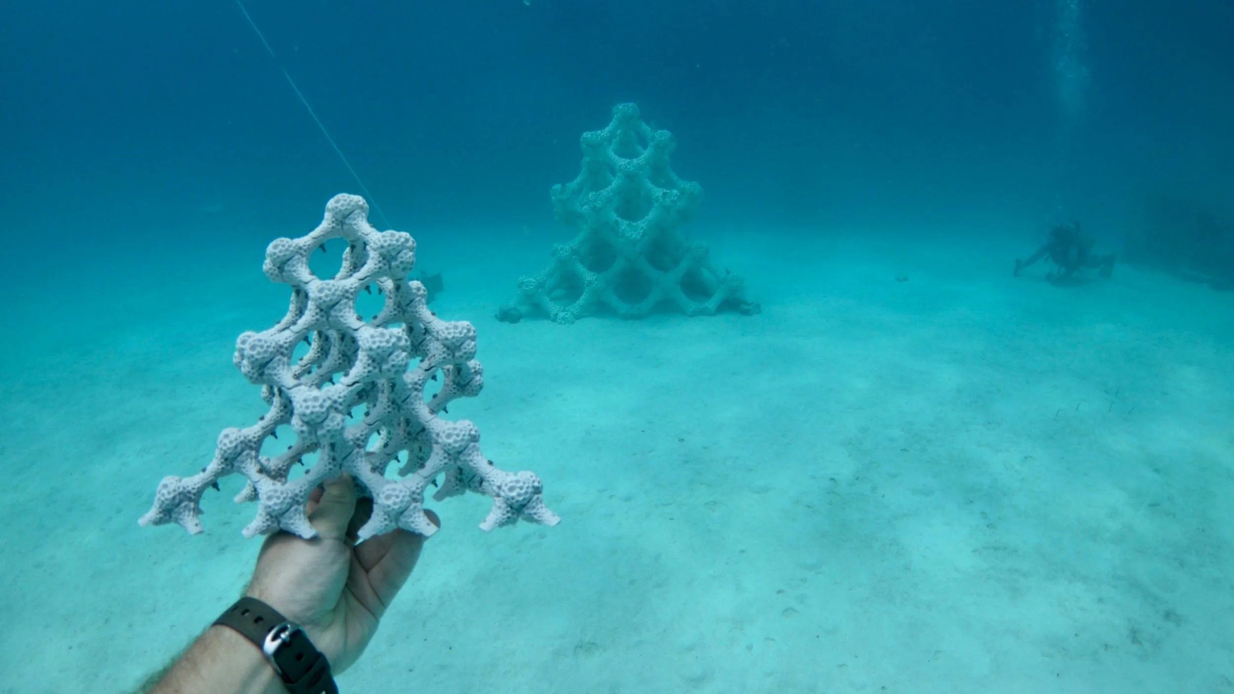 Modular Artificial Reef Structure (MARS) | REEF DESIGN LAB