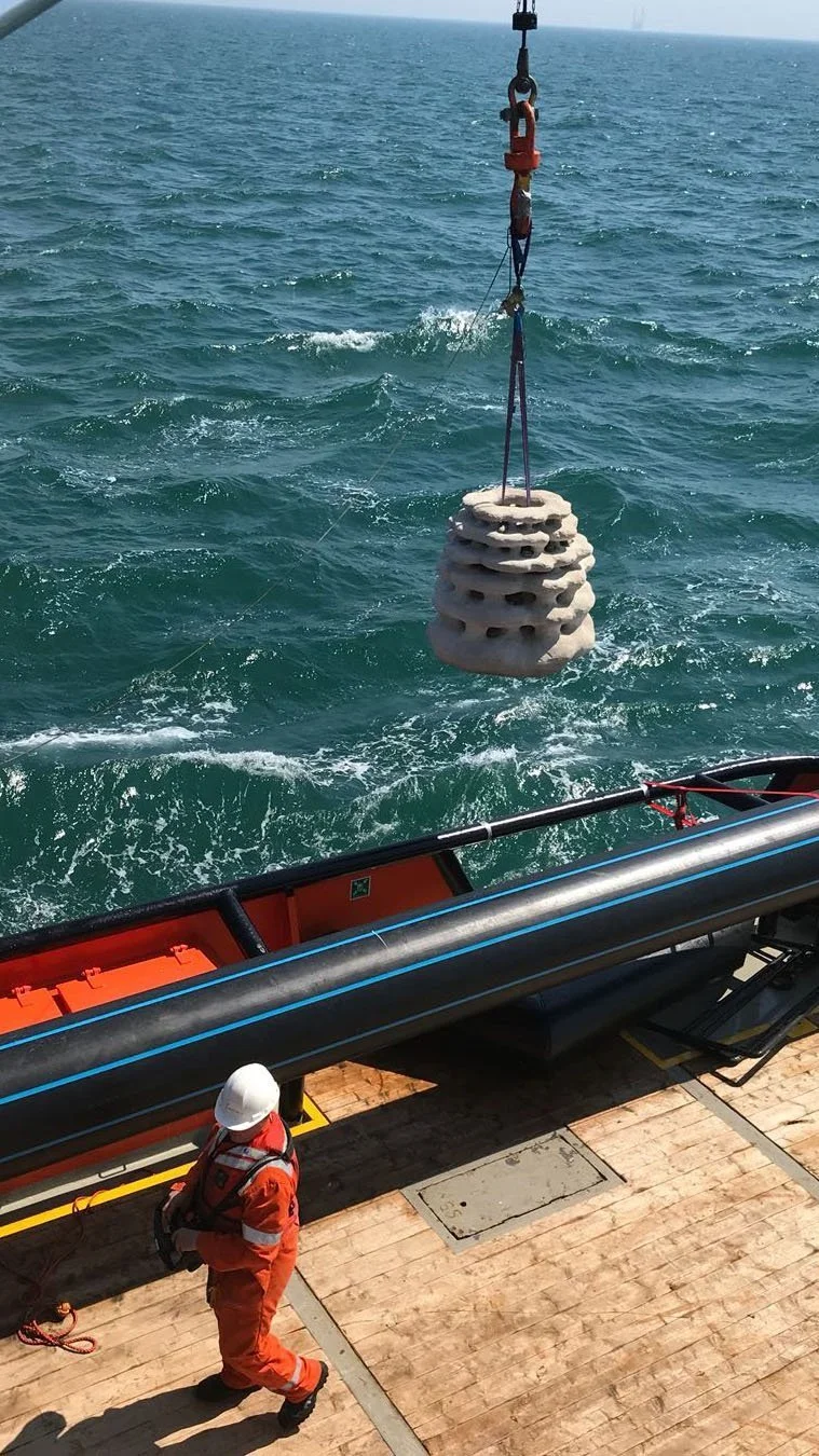 3D Printed Reefs for the North Sea | REEF DESIGN LAB