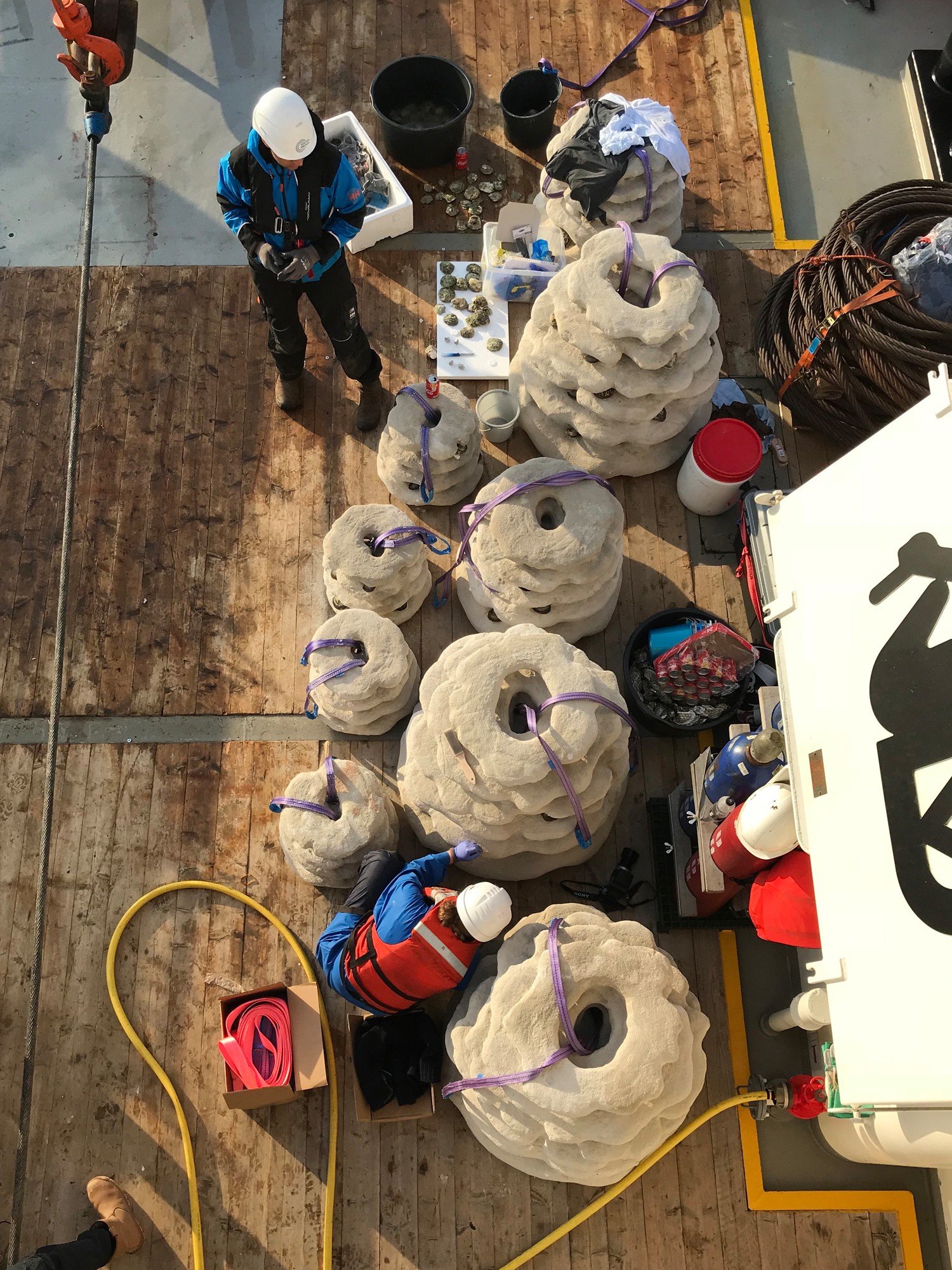 3D Printed Reefs for the North Sea | REEF DESIGN LAB