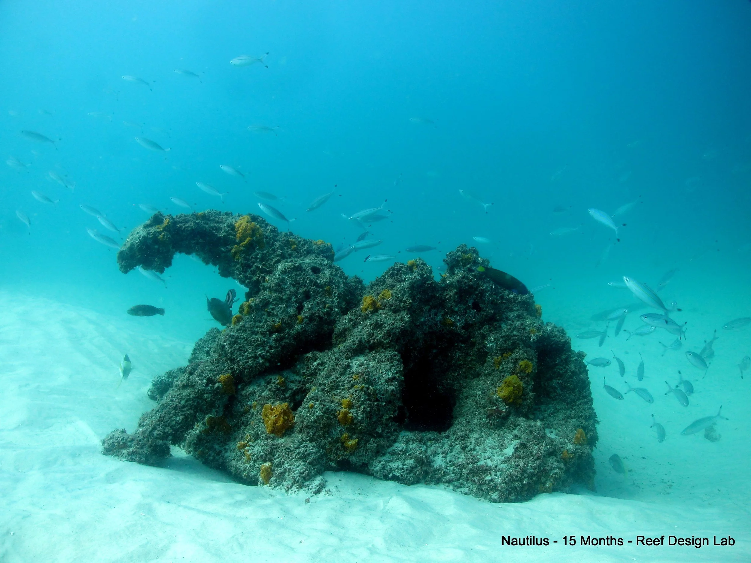 Artificial Reef Units for Fish Habitat | REEF DESIGN LAB