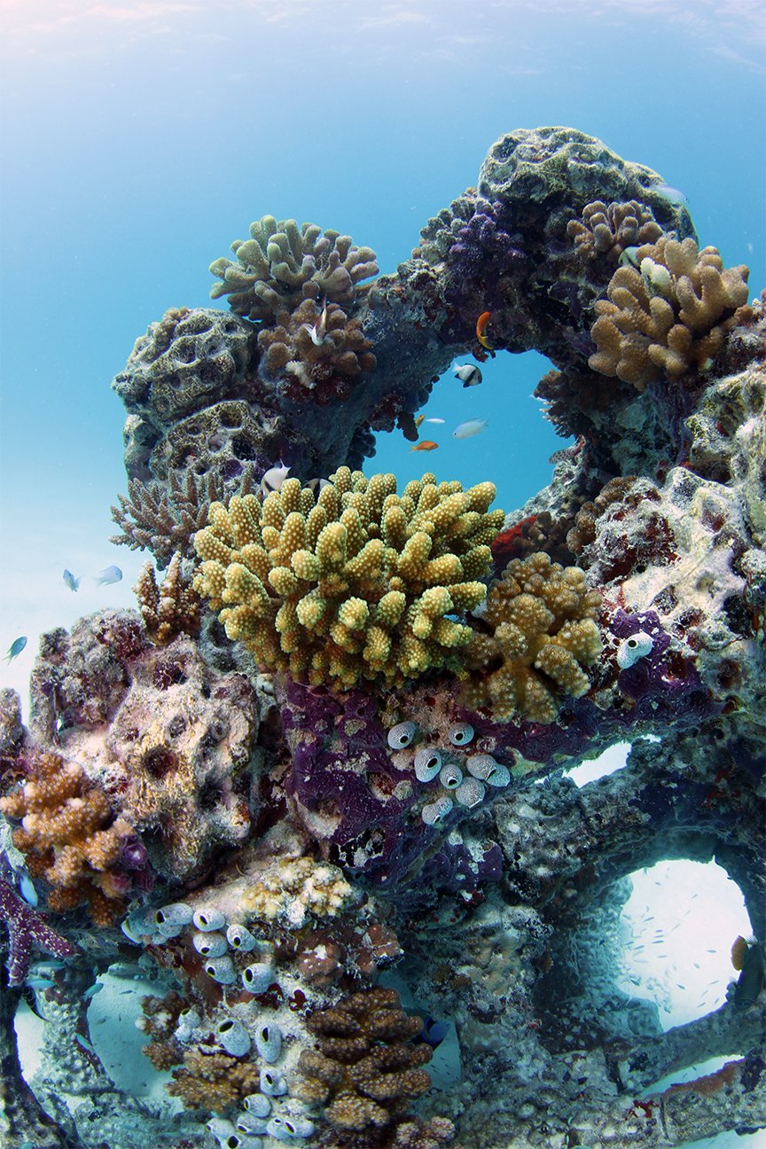 Marine Environment Substrate Research — REEF DESIGN LAB